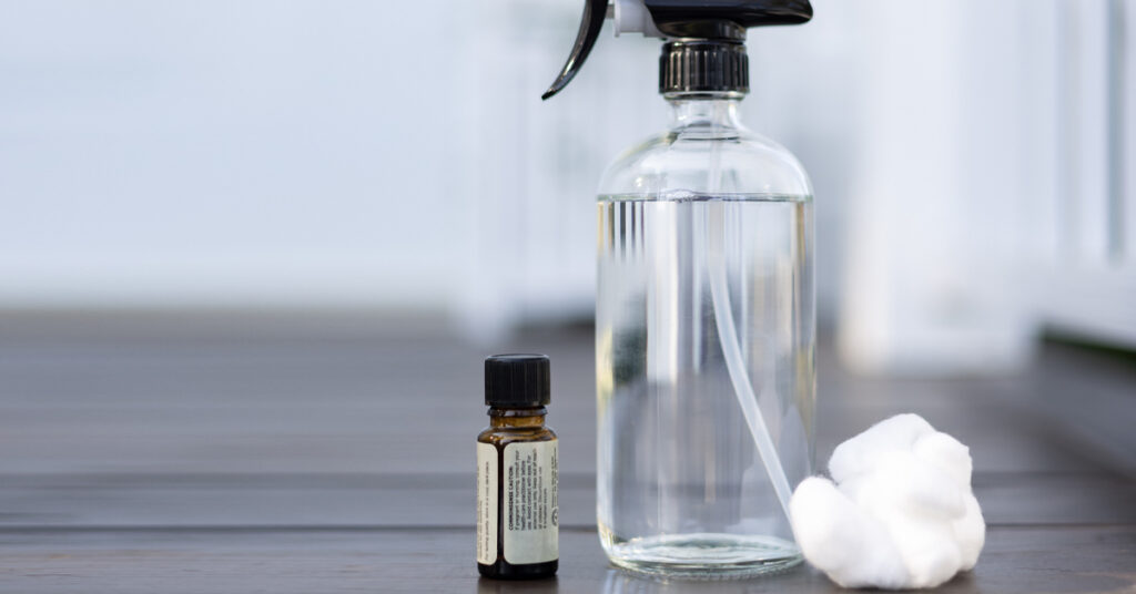 DIY Peppermint Oil Spider Repellent: Does it Really Work? - The Creek ...