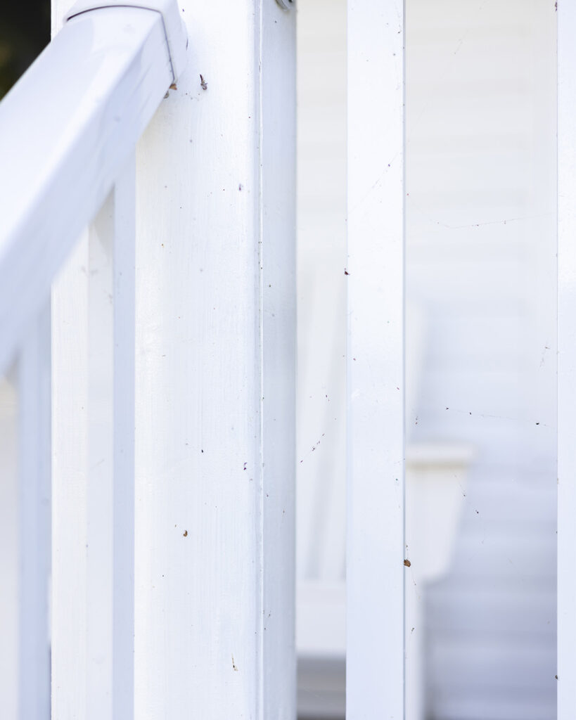DIY Peppermint Oil Spider Repellent: Does it Really Work? - The Creek ...