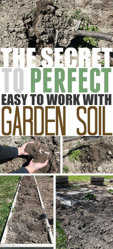 The Secret to Perfect, Easy to Work With Garden Soil - The Creek Line House