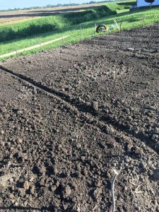 How to Plant Perfectly Straight Rows in Your Garden - The Creek Line House