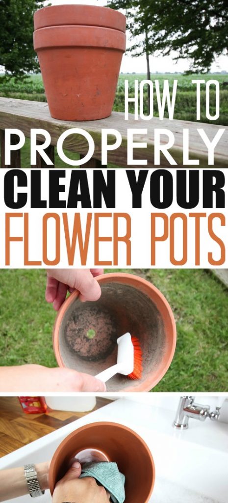 How to Properly Clean Flower Pots - The Creek Line House