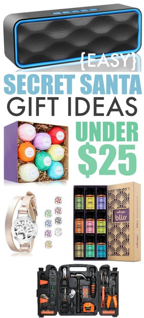 Secret Santa Gift Ideas Under $25 - The Creek Line House