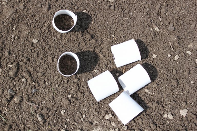 The Toilet Paper Roll in the Garden Trick - The Creek Line House