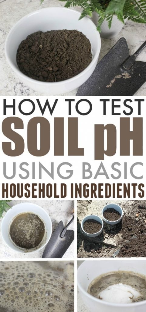 How to Test Soil pH Levels - The Creek Line House