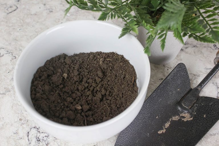 How to Test Soil pH Levels - The Creek Line House