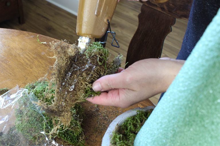 DIY Moss Topiaries - The Creek Line House
