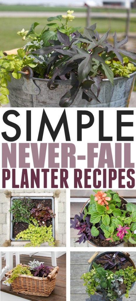 Three Easy Planter Recipes That Never Fail - The Creek Line House