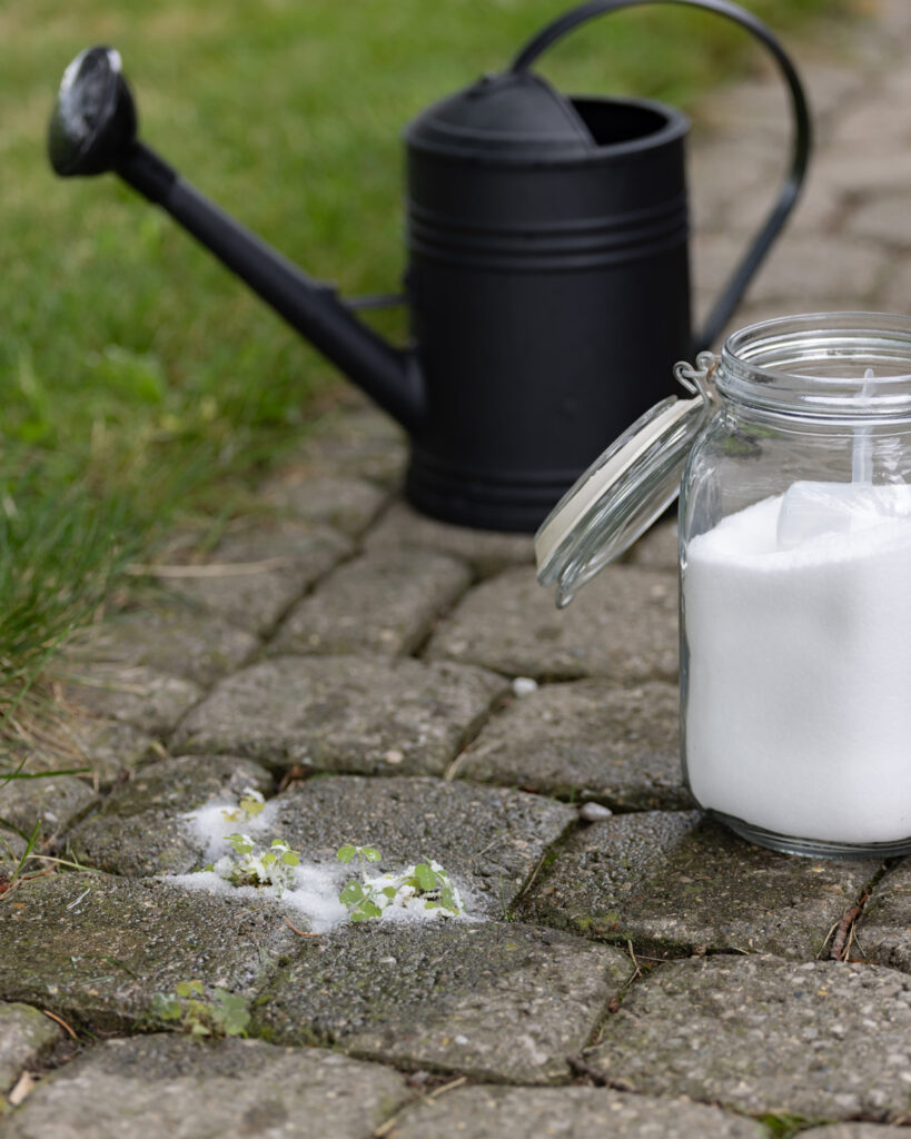 How to Safely Use Salt to Kill Weeds - The Creek Line House