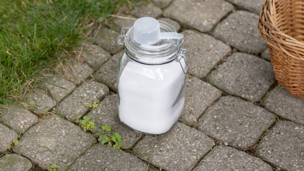 How to Safely Use Salt to Kill Weeds - The Creek Line House