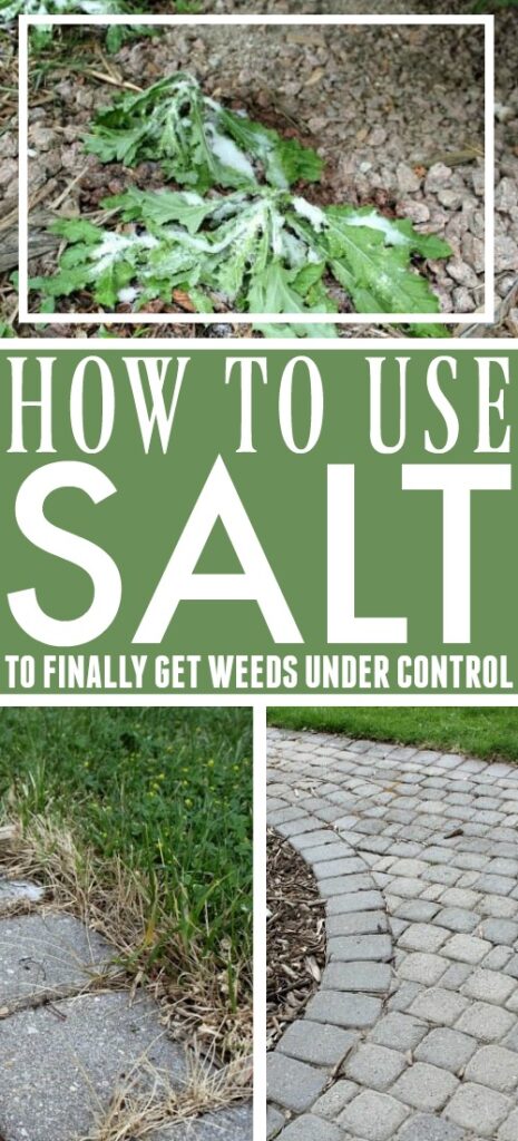 How to Use Salt to Kill Weeds - The Creek Line House