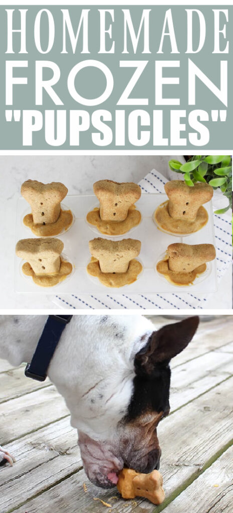 Homemade Frozen Pupsicles (Dog Popsicles) - The Creek Line House
