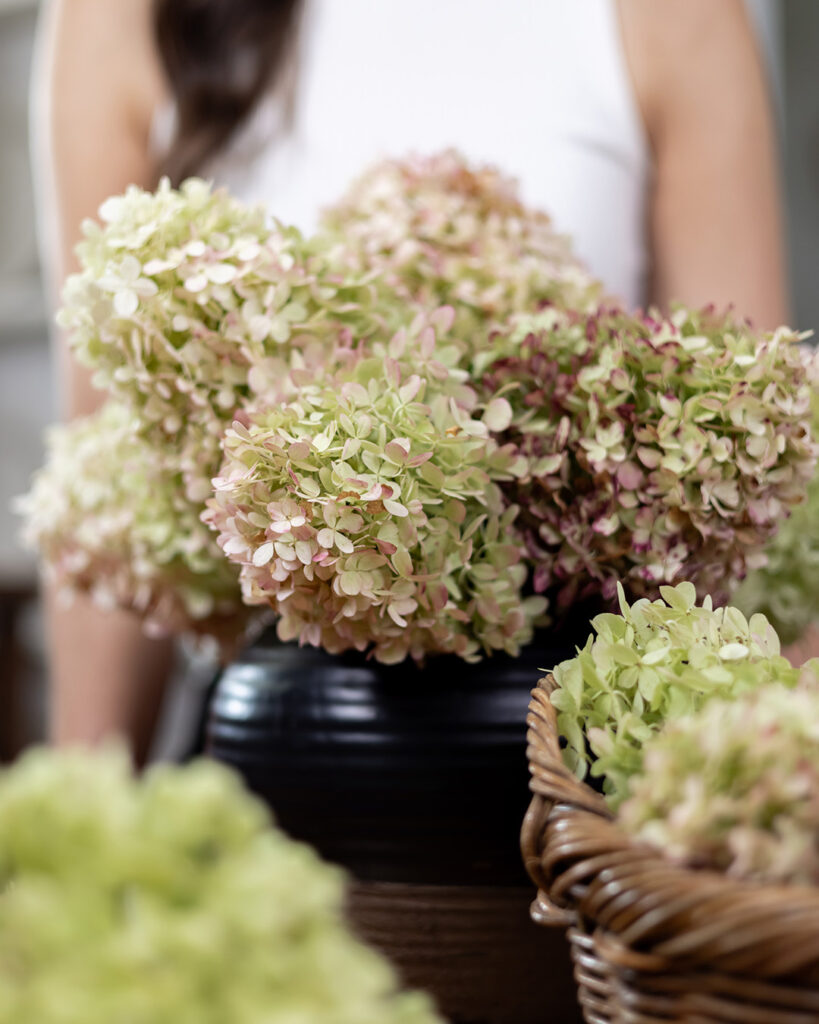 How to Dry Hydrangeas Perfectly Every Time - The Creek Line House