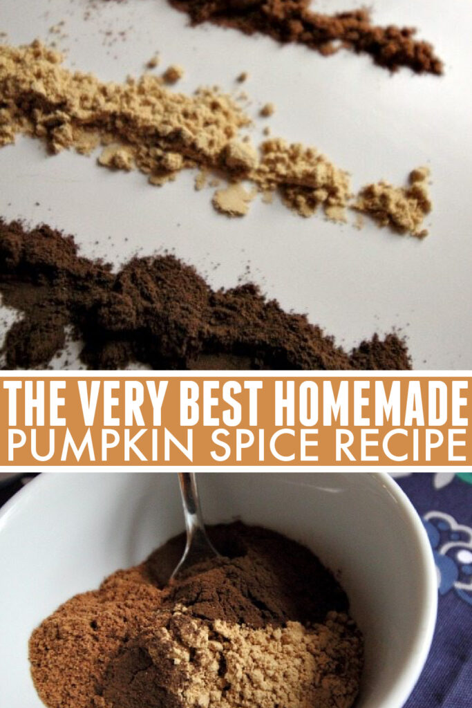 The Best Homemade Pumpkin Spice Recipe - The Creek Line House