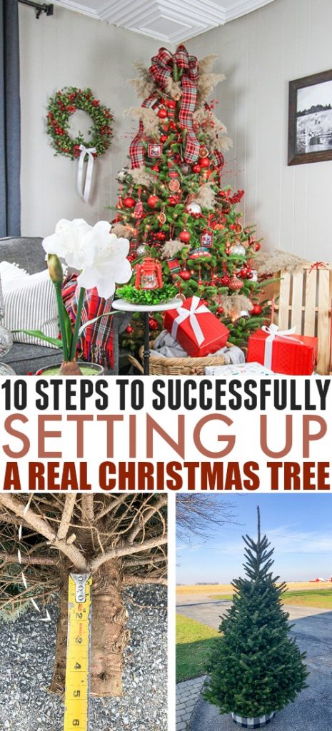10 Tips to Make Your Real Christmas Tree a Success - The Creek Line House