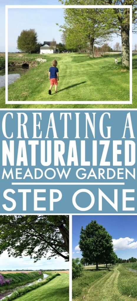 My New Naturalized Meadow Garden - Step One - The Creek Line House