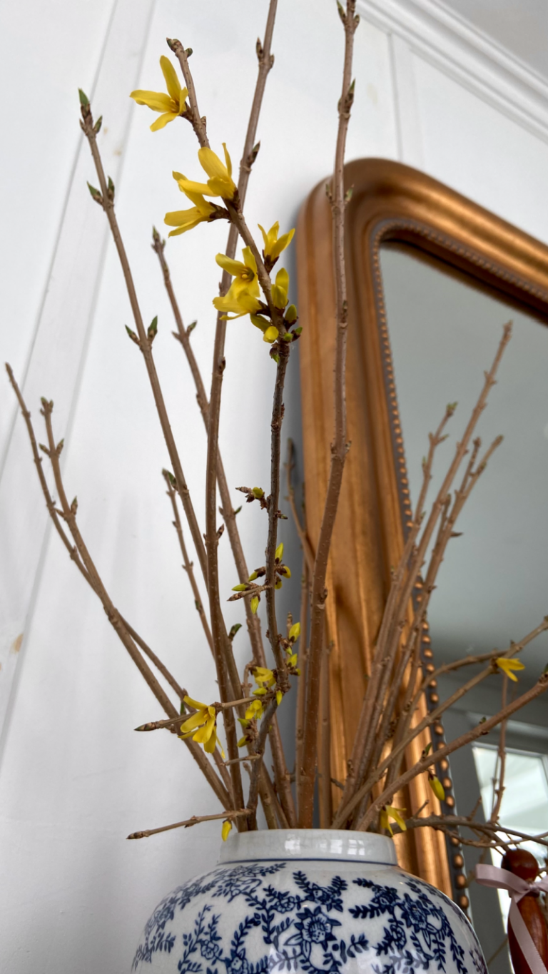 How to Force Forsythia Branches - The Creek Line House