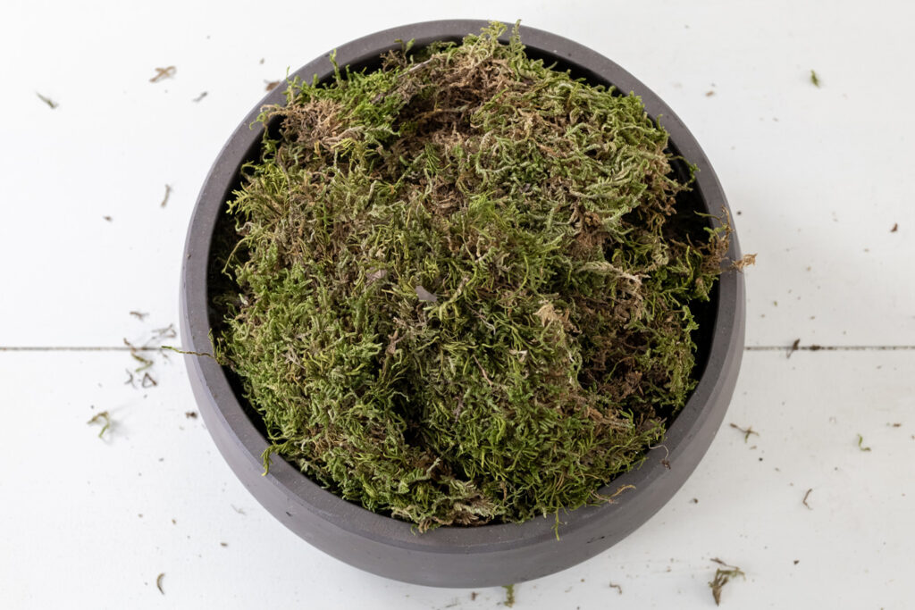 DIY Moss Bowl Centerpiece - The Creek Line House