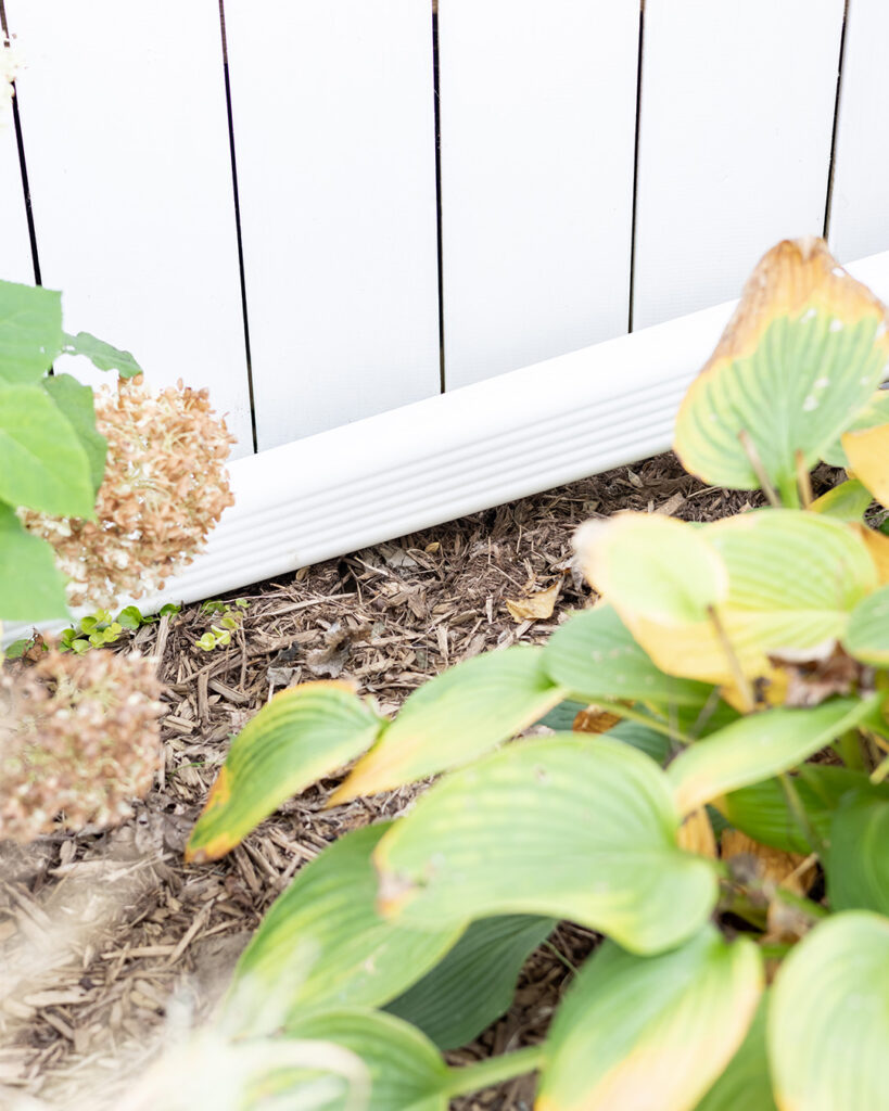 The Farmer's Almanac is Predicting a Colder, Snowier Winter: Here's How ...