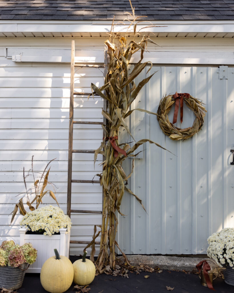 Corn Stalk Decor for Fall: How to Dry Corn From Your Garden - The Creek ...