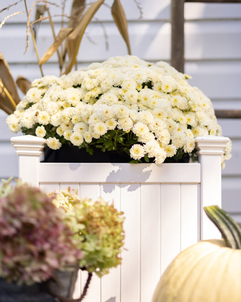 Fall Barn Door Decorations: Continuing Favorite Traditions - The Creek ...